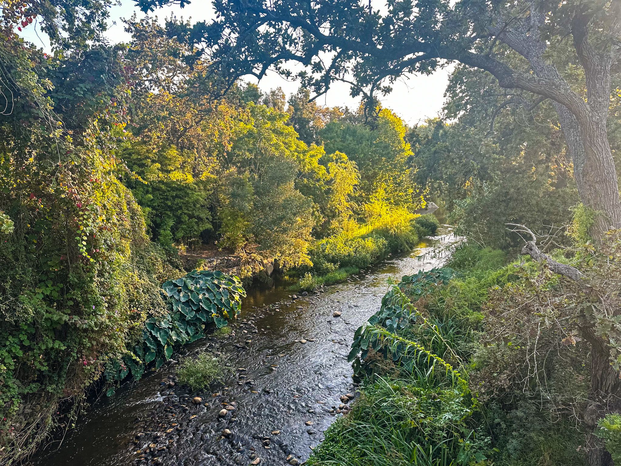 Discovering Ubuntu in South Africa: Inside the Ascend Fellowship